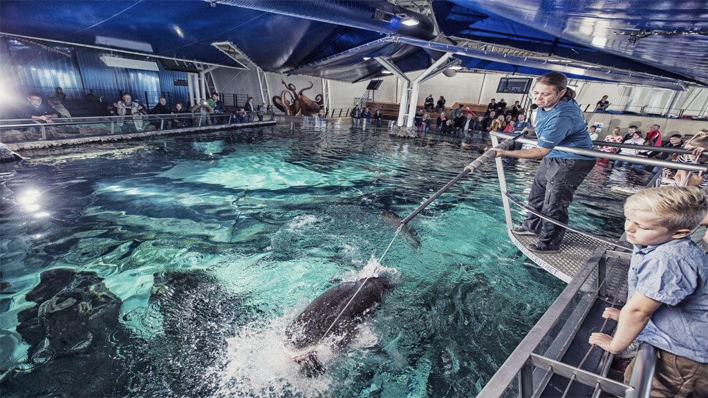 Kattegatcentret - Denmark´s Shark Centre Grenaa | VisitDenmark