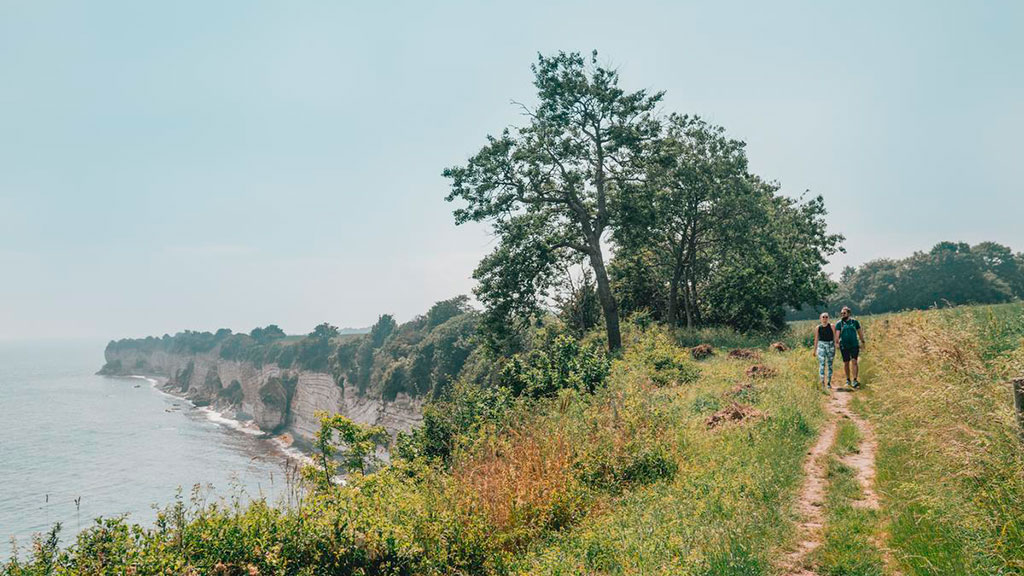 „Trampestien“ Der Trampelpfad - Stevns Klint