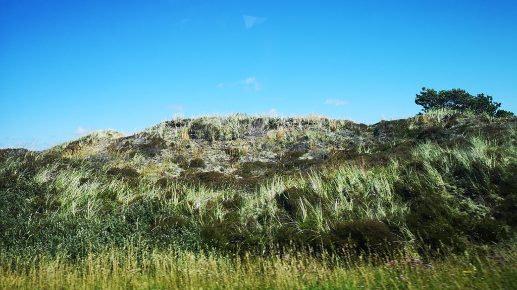Thy Nationalpark | Dänemarks größte Wildnis | Nationalparks in Dänemark ...