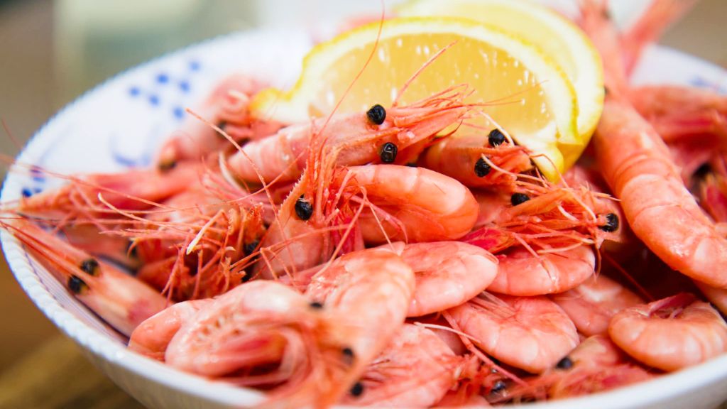 Ærø Fisk - friskfanget kvalitetsfisk direkte fra kutter til køkken